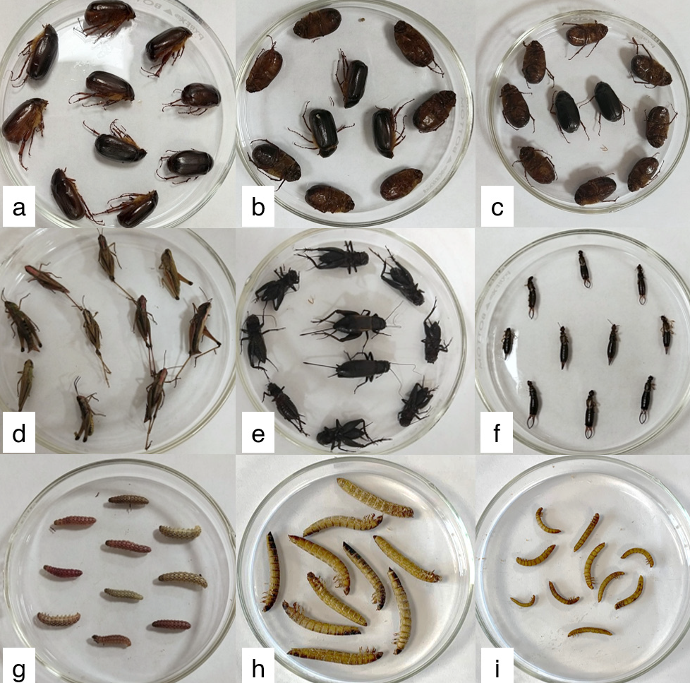 Publications – Insect Biodiversity in Agroecosystems Lab